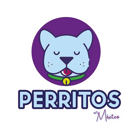 Perritos En México Added A New Photo Perritos En México