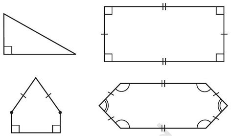 Irregular Quadrilateral In Nature