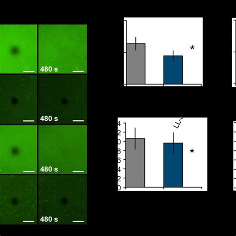 A The Chemical Structure Of Pope Popg Cl And Popc B Schemes