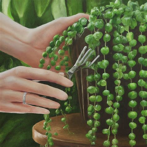 Easy Guide To String Of Turtles Grow And Care For Turtle Plants