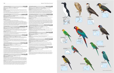 Ias Bird Checklist