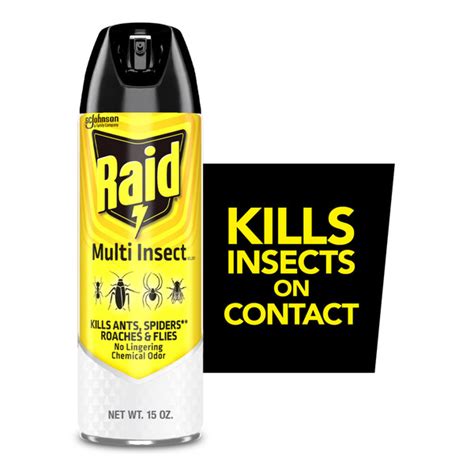 Raid® Multi Insect Killer Insecticide Aerosol Spray Same Day Delivery