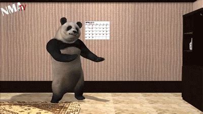 Dancing  Find And Share On Giphy Panda  Dancing  Cool S