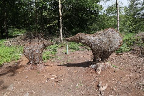 Alison Mott Alison Mott Writer And Writing Coach