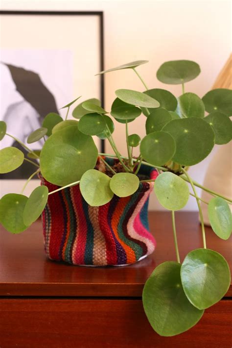 Striped Pot Cover In Red And Green Made From Vintage Berber Fabric From Morocco