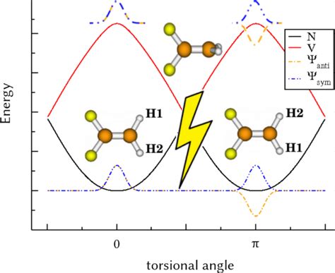 do we need delocalised wavefunctions for the excited state dynamics of