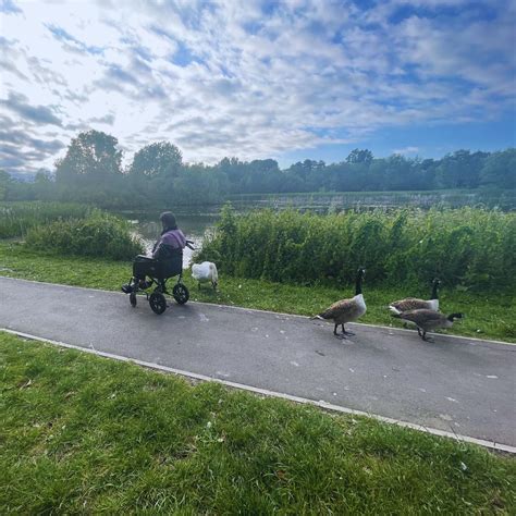 3 Trees Care And Support Ltd 3tcsltd On Linkedin 3tcs 3trees