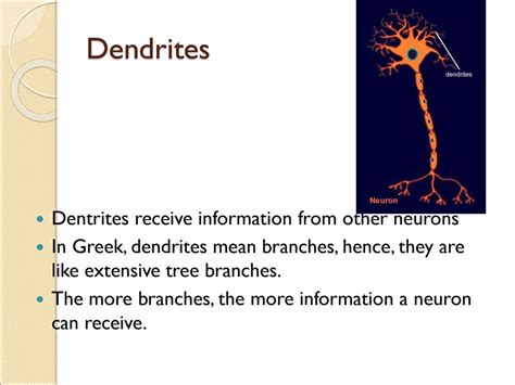 Biopsychology Ppt Download