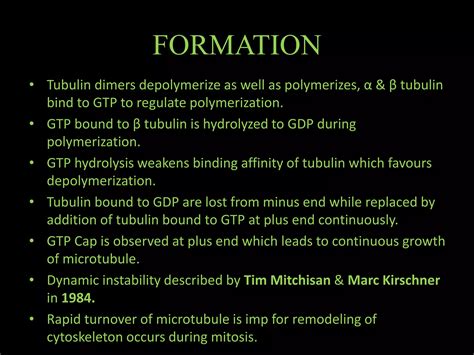 The Cytoskeleton An Overview Pptx