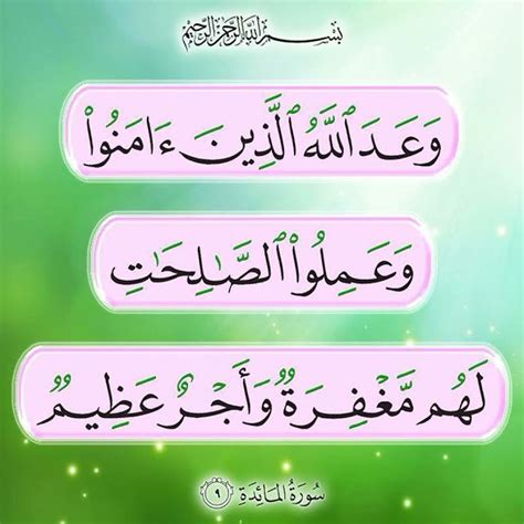 وعداللہ الذین آمنو Beautiful Quran Tilawat Shortvideo Qirat Quotes Quranrecitation Youtube