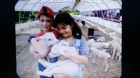 Elmos World Farms Footage Youtube