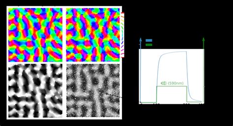 Opto Stimulation Protocol For Grating Stimulus A The Orientation