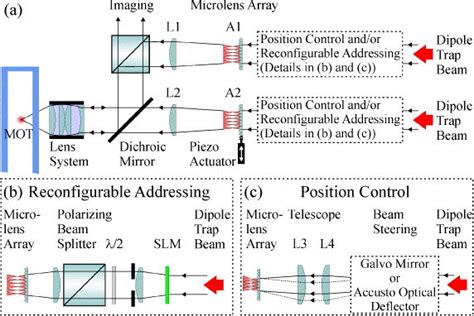 Schematic View Of The Experimental Setup A The Microlens Arrays A1