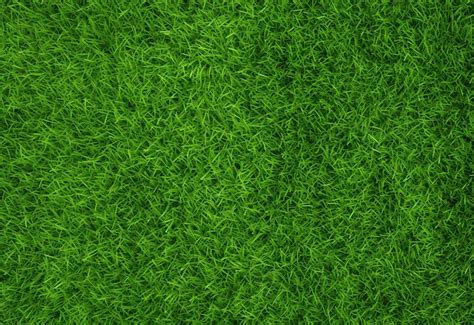 Page 8 Grass Overlay Images Free Download On Freepik