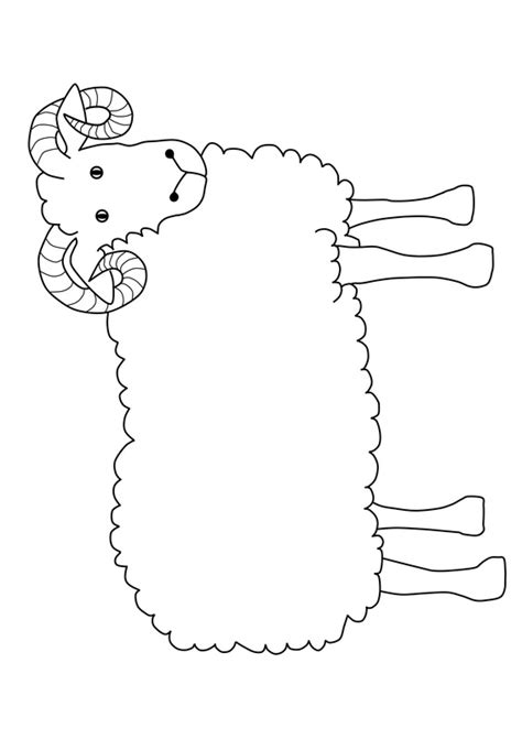 Wooly Sheep