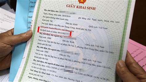 Cách Tra Mã định Danh Học Sinh 2026 Hoatieu Vn