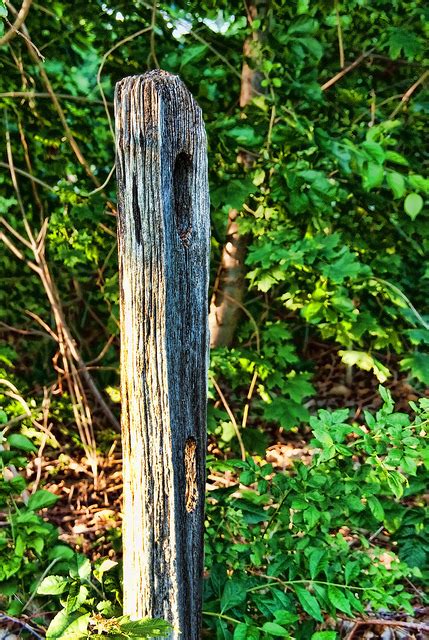 Banque En Ligne Sexfriendslefilm