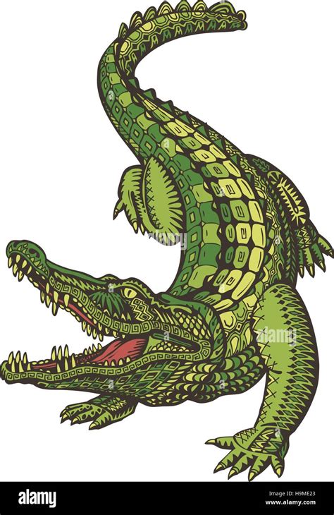 Crocodile Vector