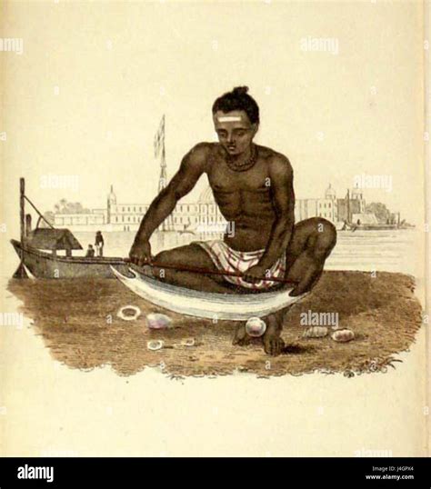 A Shellcutter Is A Specialized Tool Used For Cutting Through The Tough