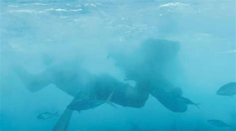 Jackass Star Sean Mcinerney Emotionally Recounts Shark Attack Bite