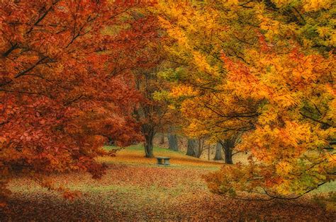 Autumn Solitude Photograph By Michael Gass Fine Art America
