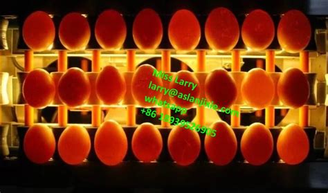 Egg Testing Machinechicken Egg Light Checking Machineegg Candling