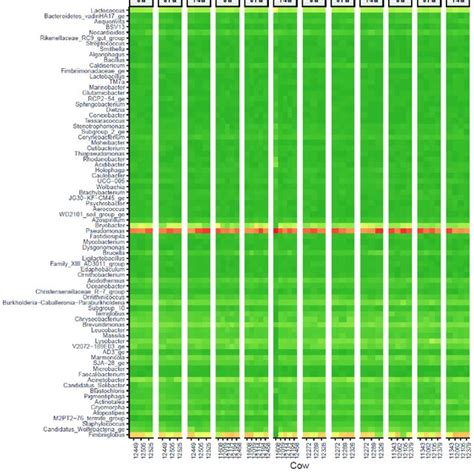 Distribution Of The Most Abundant Bacterial Genera N 78 That Were Download Scientific