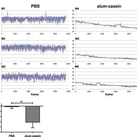 Surface Body Temperature Imaging In The Milk Allergy Model Mice M1 M3