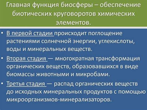 Основы экологии. Биосфера - презентация онлайн