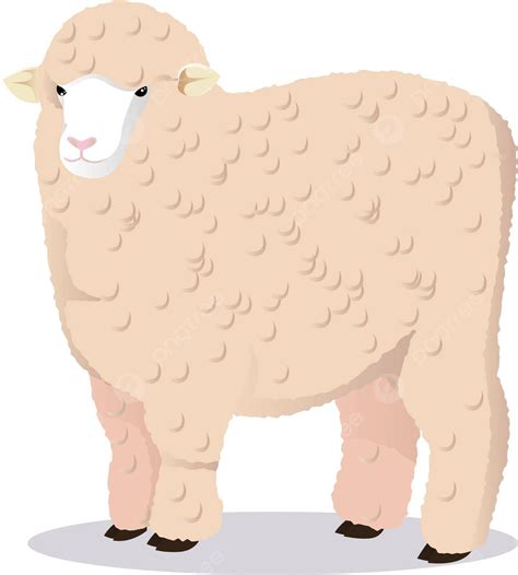 Merino Sheep Merino Mammal Economically Vector Merino Mammal