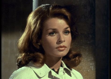 The Quiller Memorandum Movies Ala Mark