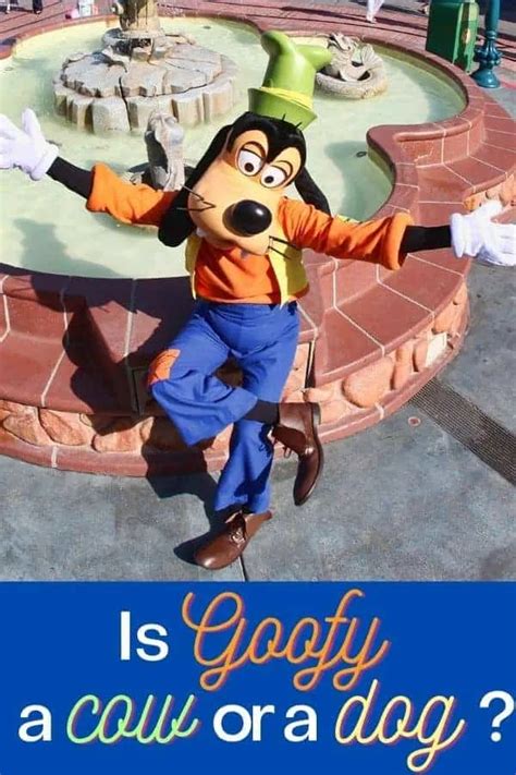 What Is Goofy If Pluto Is A Dog