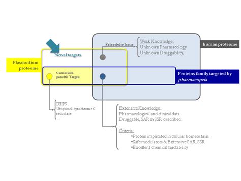 Pde Inhibitors Phosphodiesterases Molecular Morphing And Malaria
