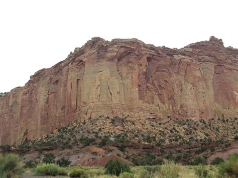 Capitol Reef Get Into The Wildlife