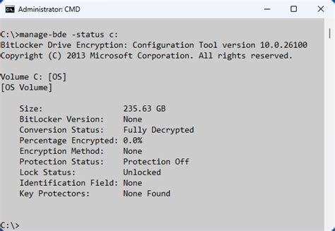 Bitlocker Off