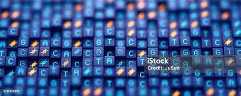 Dna Strands And Sequencing Atgc Data Background Double Helix Structure Nucleic Acid Sequence