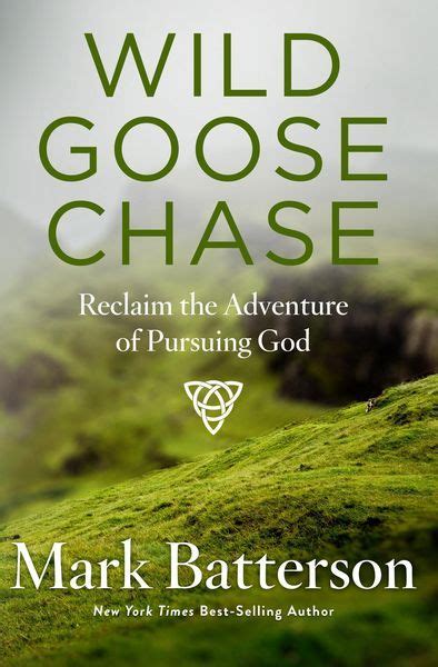 Wild Goose Chase Von Mark Batterson Taschenbuch 978 1 59052 719 1 Thalia Book Summaries