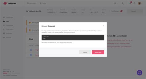 Server Software Updates Spinupwp