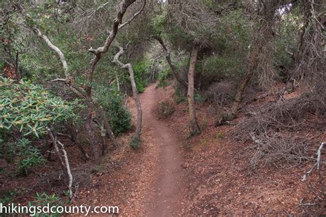 Del Mar Mesa Preserve Hiking San Diego County
