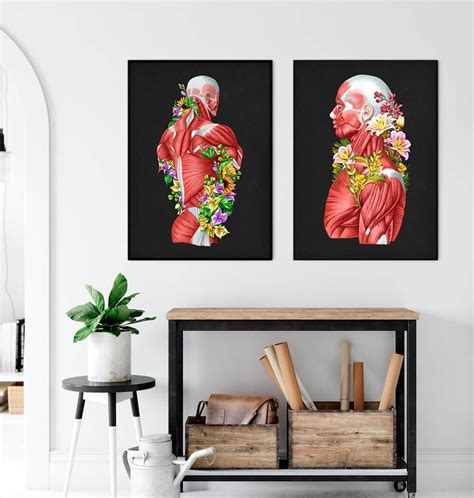 Muscles Anatomy Art Codex Anatomicus