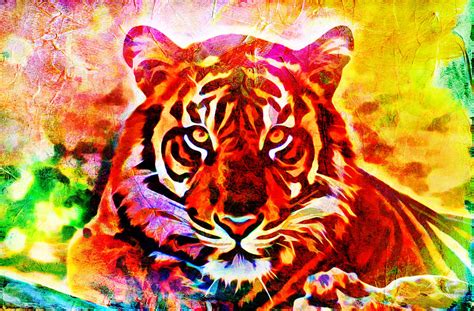 Colorful Tiger 2 Digital Art By Lilia S Fine Art America