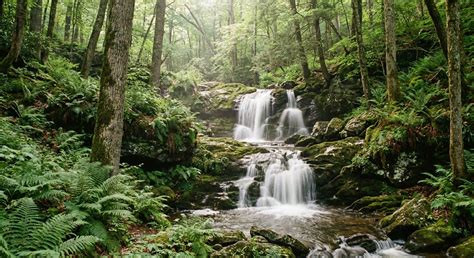 12 Best Waterfall Hikes In Us National Parks — Town Wander