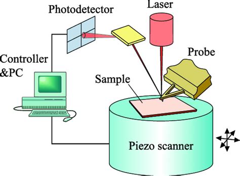 Schematic Drawing Of The Atomic Force Microscope Download Scientific
