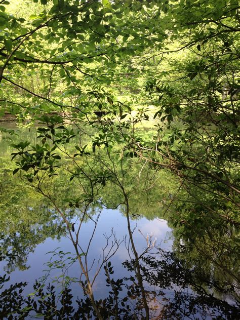 Elevation Of Berks County Pa Usa Topographic Map Altitude Map