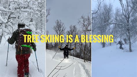 Tree Skiing Is A Blessing Youtube