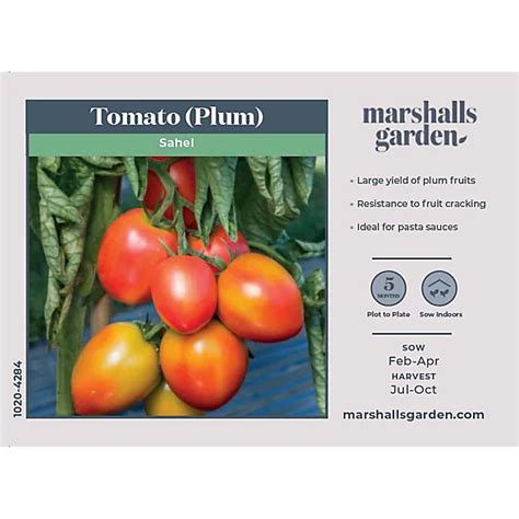 Marshalls Garden Tomato Seeds Sahel High Yield Disease Resistant