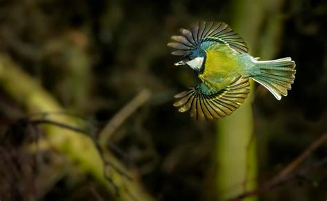 Aesthatic Wallpaper Photos Download The Best Free Aesthatic Wallpaper