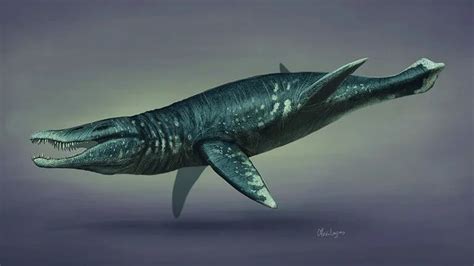 ¿cómo Se Veía El Pliosaurio El Gran Depredador De Los Mares Jurásicos