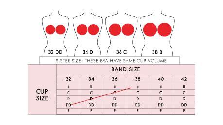 What Is Bra Sister Size With Sister Size Charts And Table Amanté