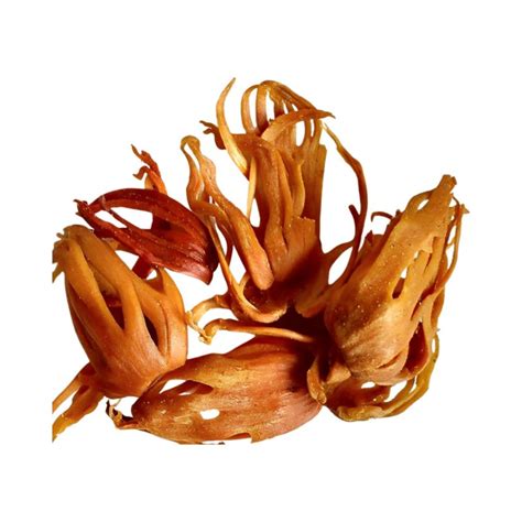 Buy Javitri Phool Jaypatri Whole Mace Flower Online At Best Price In India